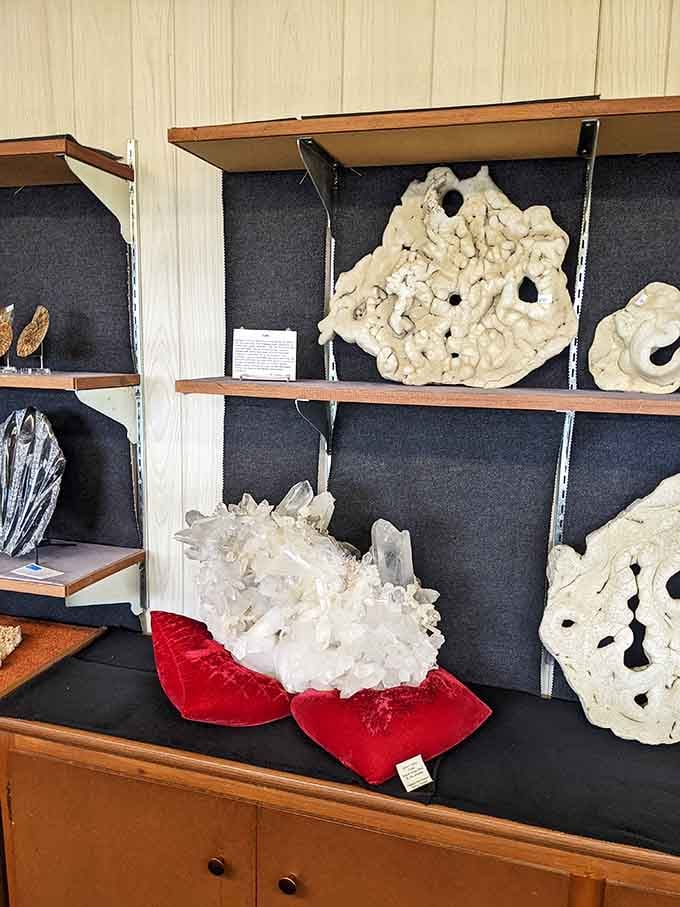 Massive crystal clusters and coral fossils sit casually on shelves like they're just waiting for the right home.