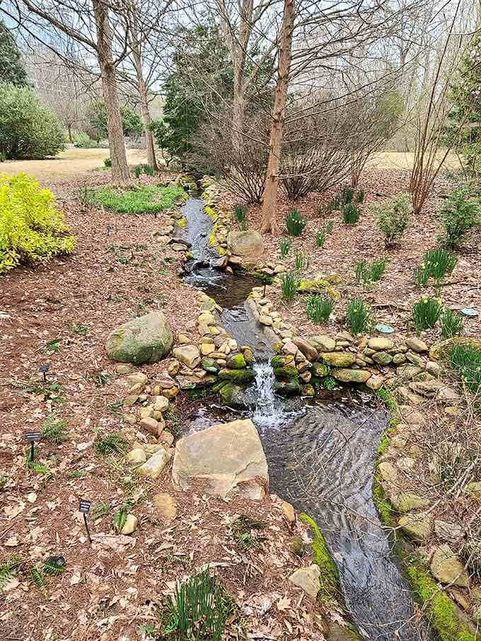 This gentle stream meanders through rocks and greenery, providing the kind of peaceful soundtrack your soul desperately needs.