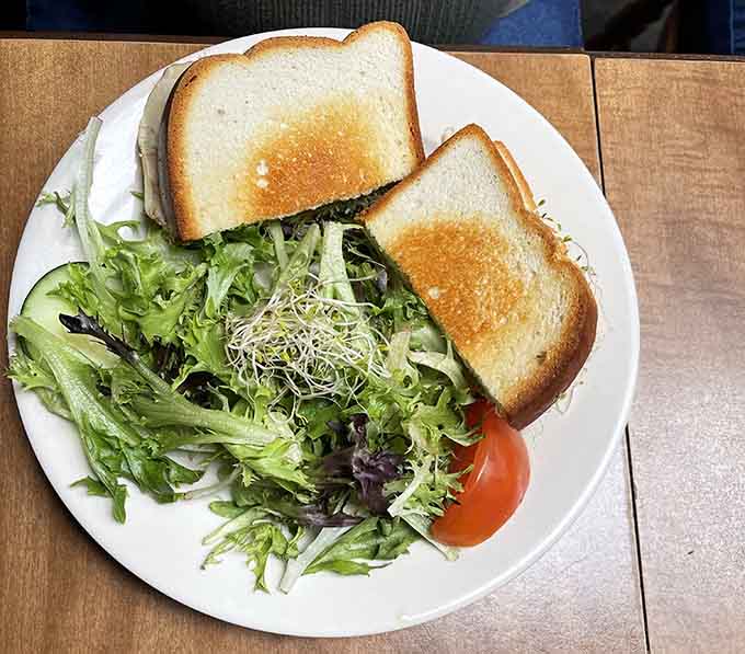 Even the grilled cheese comes with a salad so fresh it practically winks at you from the plate.