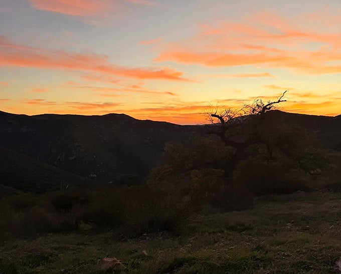 Sunset painting the canyon in colors that no camera can truly capture, only your grateful eyes and memory.