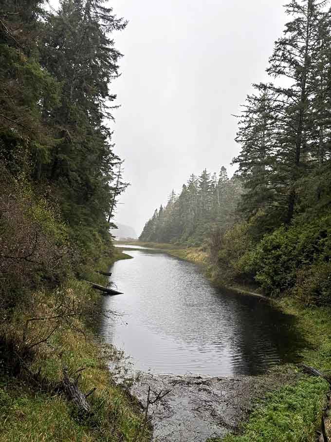 The lake appears through the trees like a reward for your efforts, calm and inviting as a Sunday morning.