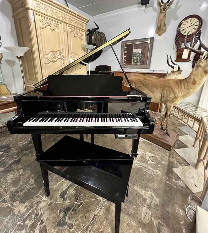 A grand piano surrounded by taxidermy creates the most unexpectedly eclectic corner you'll see today.