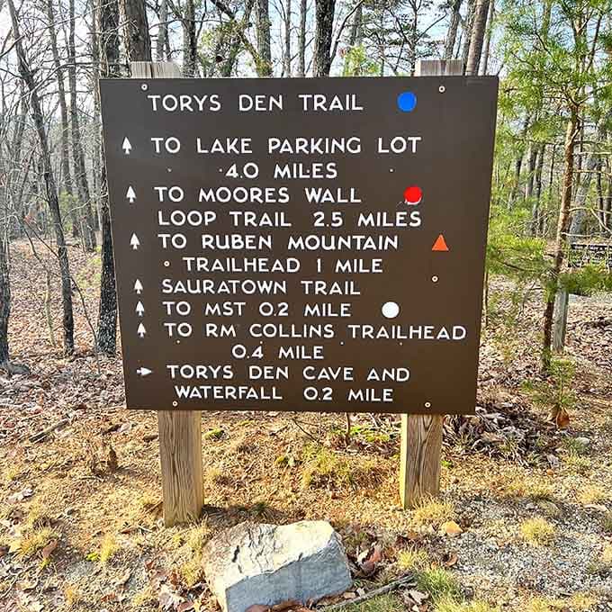 Clear trail markers mean you can focus on the scenery instead of wondering if you're hopelessly lost.