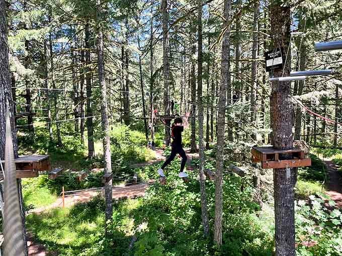 Crossing suspended logs requires focus, balance, and the ability to ignore how far down the ground actually is right now.