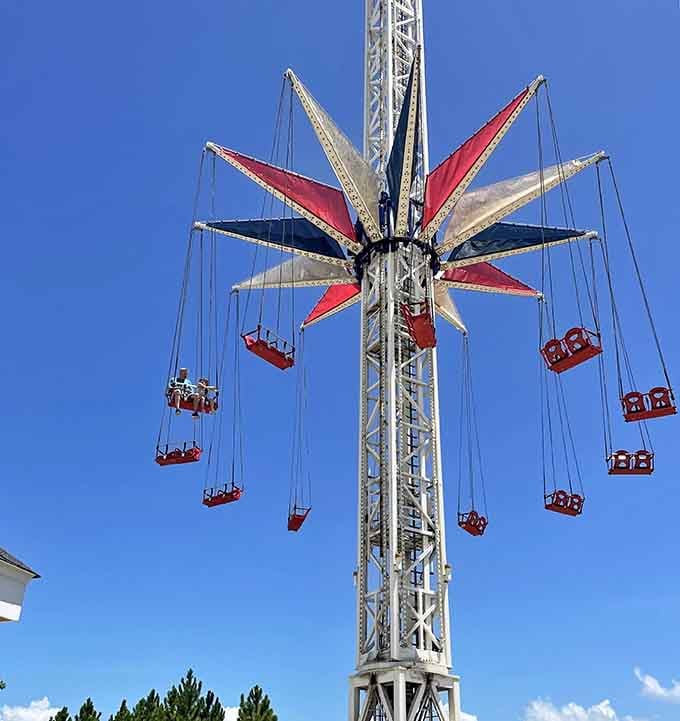 The tower swing is perfect for people who think regular swings are too boring and need more existential questioning at height.