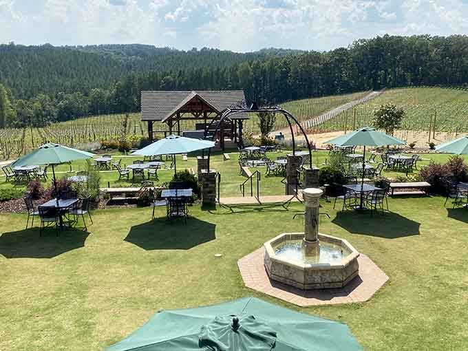 Mountain Brook Vineyards offers outdoor seating with vineyard views that pair perfectly with whatever's in your glass today.