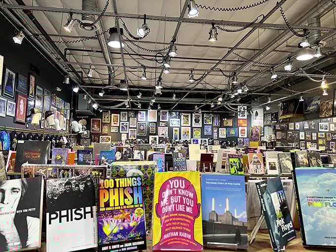 Music books and magazines for when you want to read about albums instead of just listening to them.