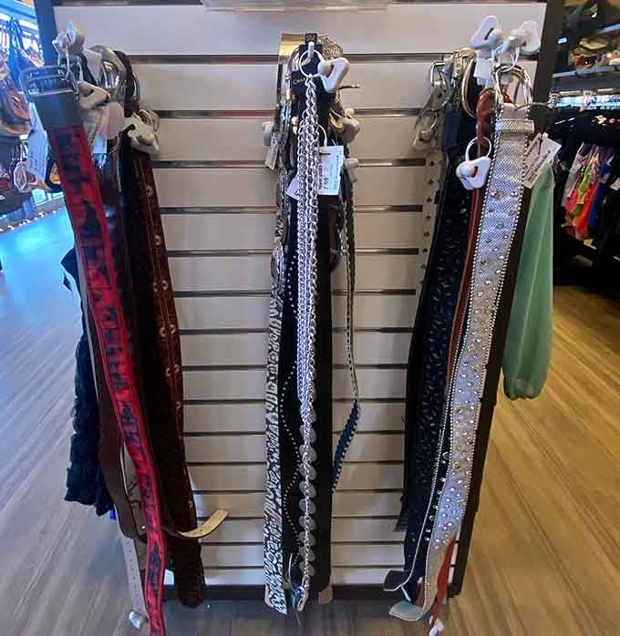 Belts that'll pull your whole outfit together without pulling apart your carefully planned budget for the month.