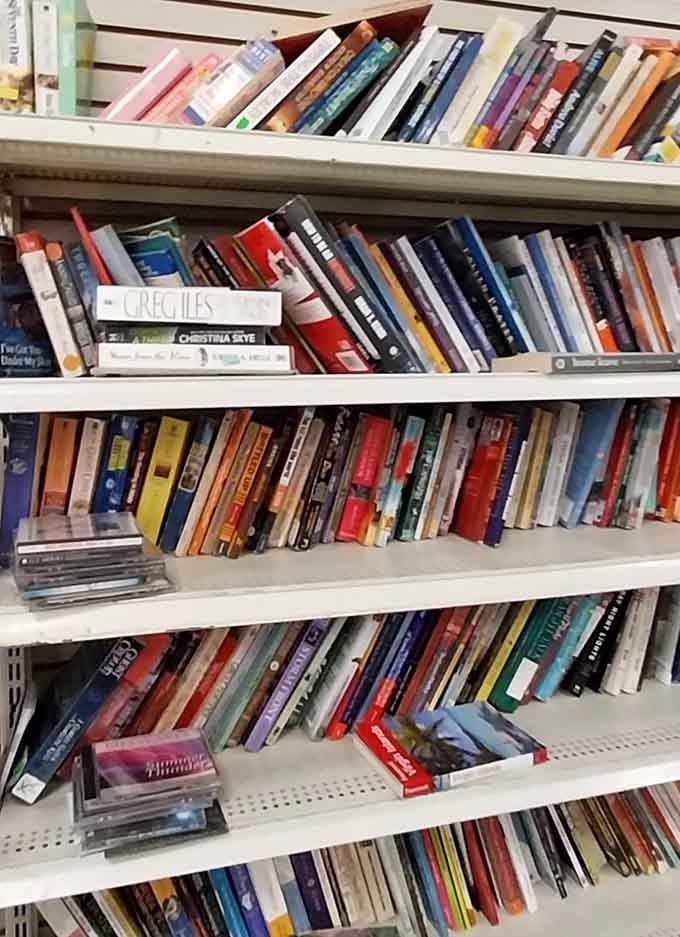 Literary treasures line these shelves, proving that good stories never go out of style or circulation.