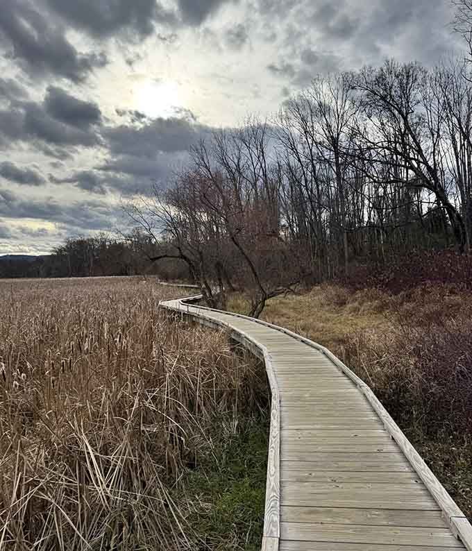 The gentle curves make you feel like you're walking through a landscape painting that somehow came alive.