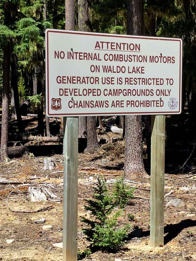 They're serious about protecting this pristine environment &ndash; no motorboats means peace, quiet, and water you can actually see through.