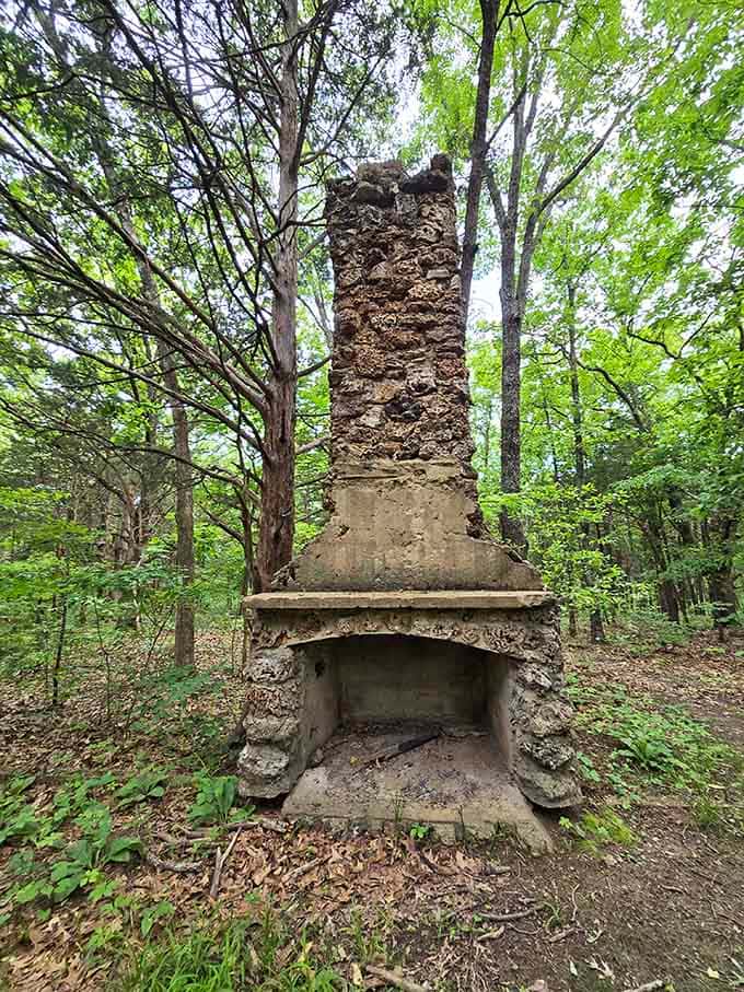 Stone fireplace ruins stand as monuments to craftsmanship from an era when things were built to last.