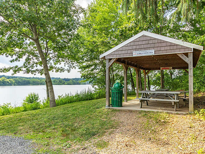 Lakeside picnic spots that welcome everyone, not just those who can afford the exclusive waterfront experience.