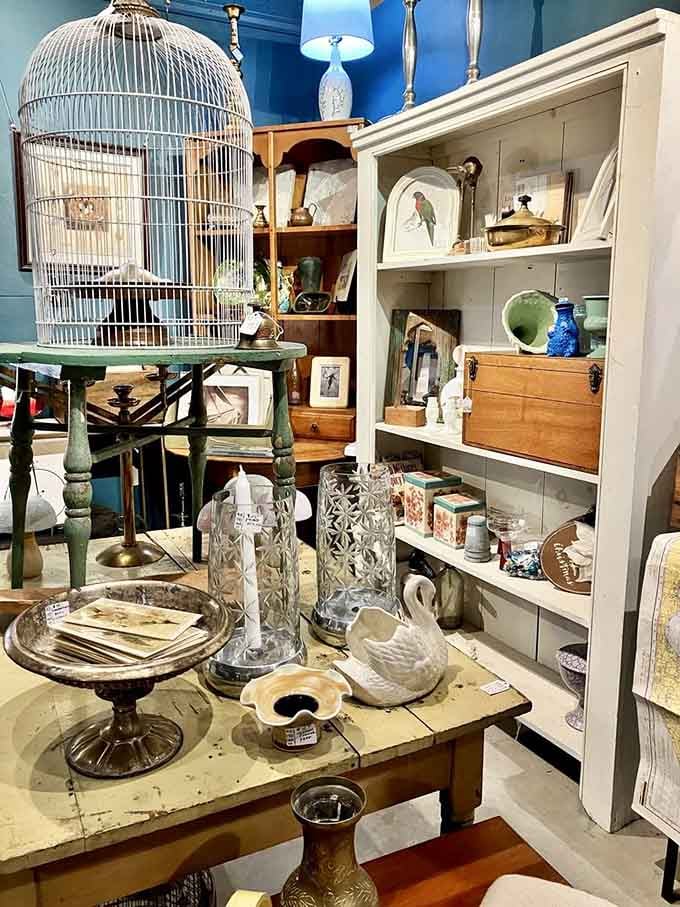 This collectibles corridor proves one person's nostalgia is everyone's treasure trove of pop culture memories and childhood joy.