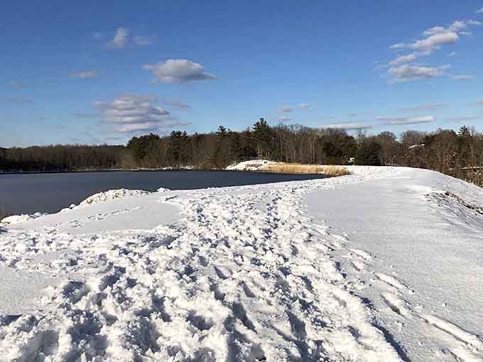 Winter transforms Lake Wintergreen into a snow-dusted postcard that'll make your holiday cards look effortlessly impressive.