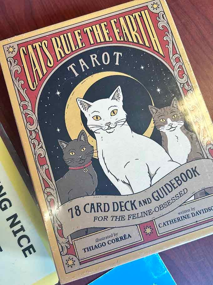 Because apparently cats needed their own tarot deck, and honestly, we're not mad about it at all.