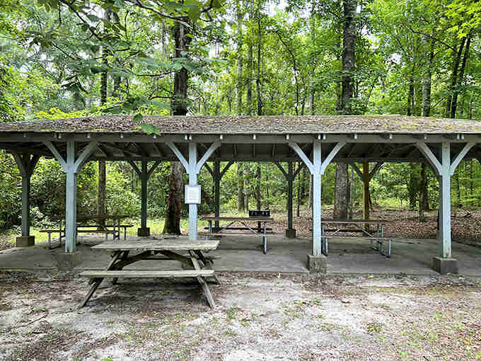 Covered picnic shelters offer shade for lunch while you contemplate the profound beauty of doing absolutely nothing productive.