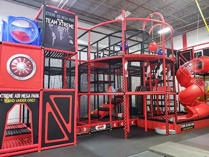 This jungle gym setup looks like it was designed by someone who really understood the assignment about maximum fun.