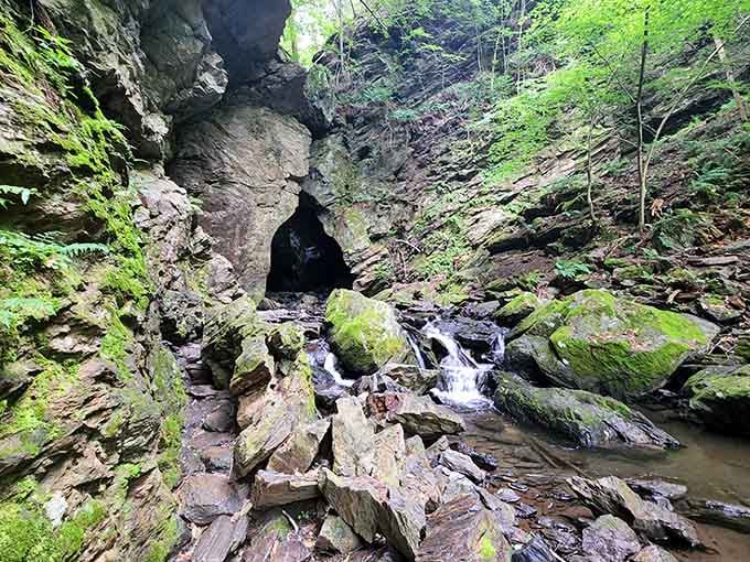 The cave entrance beckons adventurers into shadowy depths where water trickles over moss-covered rocks and ancient stone.