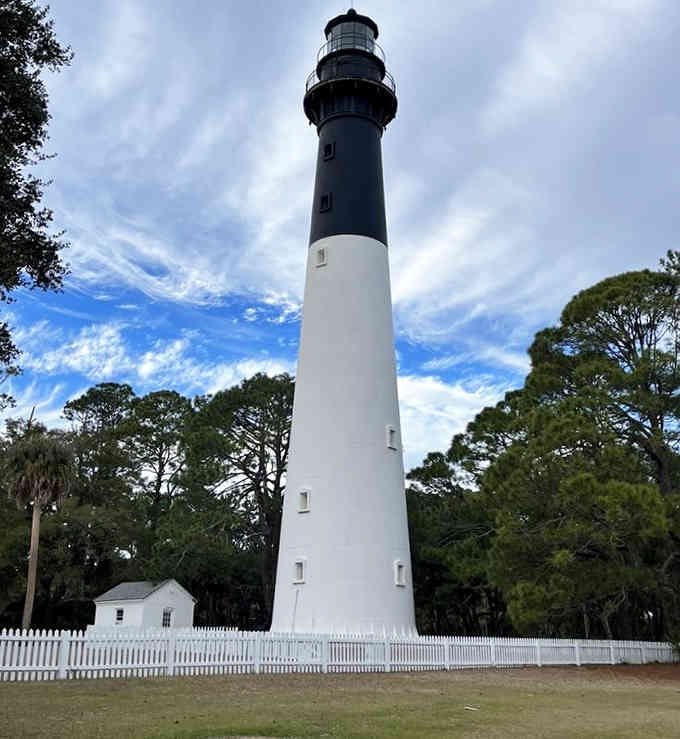 Black and white stripes spiral upward against coastal pines, a beacon that's guided sailors home through countless storms and sunsets.