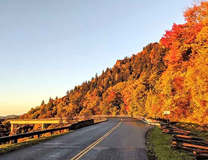 Autumn sets the mountainside ablaze with colors that would make even the finest painter jealous of nature's palette.