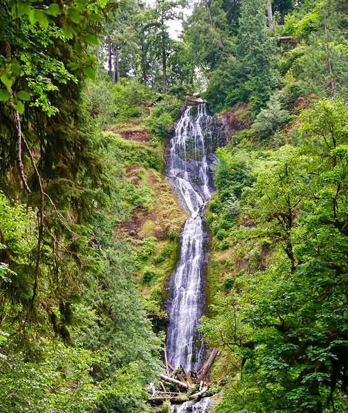 Munson Creek's narrow chute sends water plunging down weathered basalt cliffs in the Coast Range's tallest waterfall display.