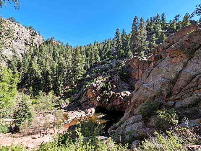 Clear creek water pools between rocky canyon walls, where pine trees frame this hidden swimming hole like nature's private resort.