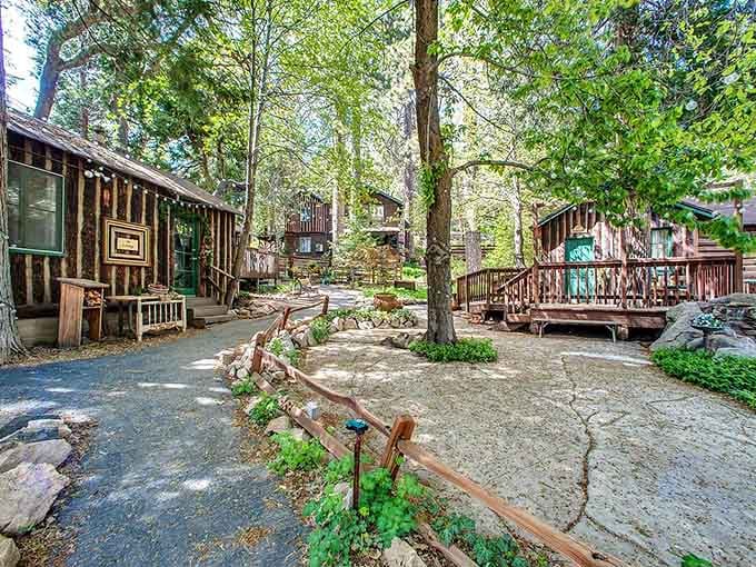 Palm trees and mountain views create an unexpected combination in this canyon community where locals gather for authentic flavors.