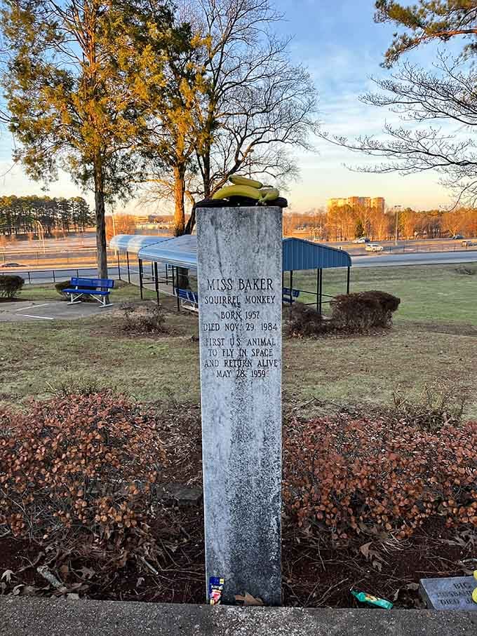 Miss Baker's memorial stands proud, honoring the tiny astronaut who paved the way for human spaceflight.