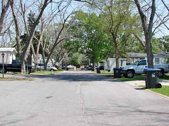Wide, quiet streets shaded by towering oaks invite leisurely afternoon drives through this welcoming neighborhood.