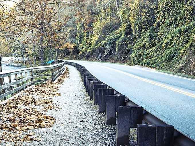 This winding stretch of pavement demonstrates why engineers deserve more credit for creating roads that dance with the landscape.