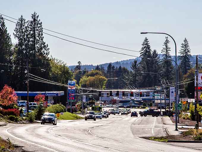 The winding main road leads through trees toward distant peaks, inviting exploration at every turn ahead.