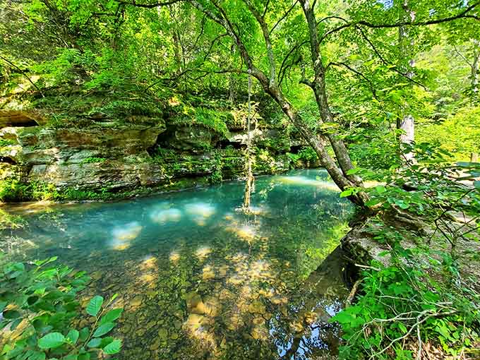 Spring-fed waters glow an impossible turquoise beneath the forest canopy, proving Illinois hides tropical secrets in plain sight.