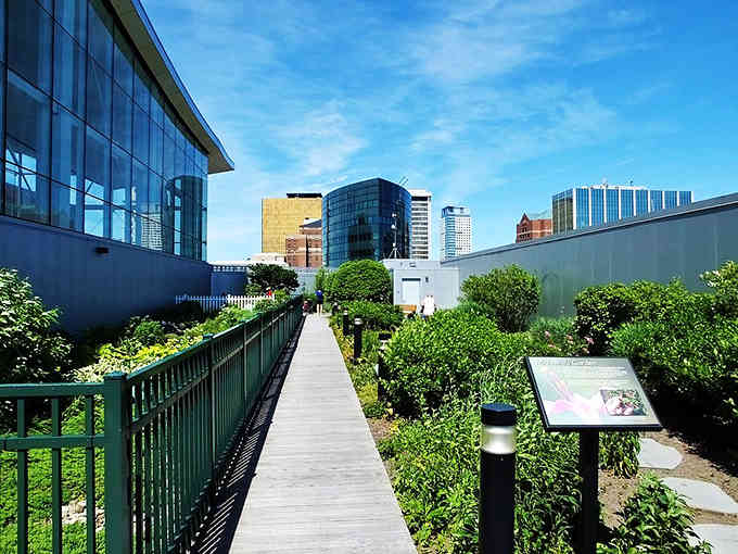 A rooftop walkway winds through urban gardens, connecting contemporary buildings with green spaces that bring nature into the cityscape.