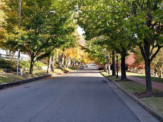 Tree-lined residential streets pass Victorian homes that showcase striking architectural beauty.