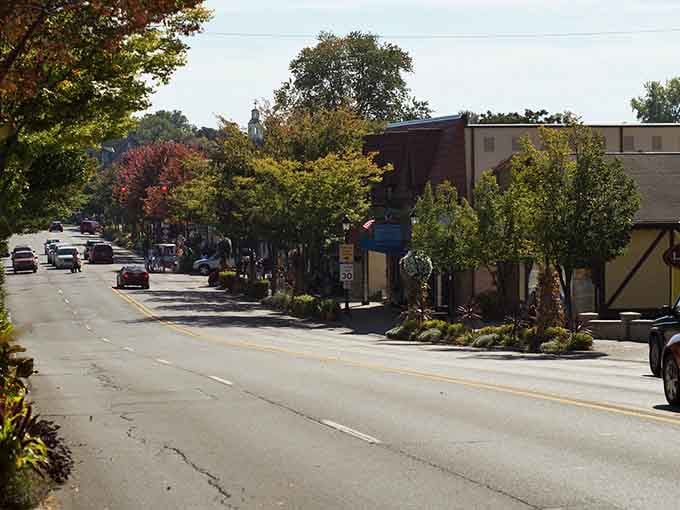 Tree-canopied streets create natural shade over downtown sidewalks where autumn colors paint the perfect retirement backdrop every fall.