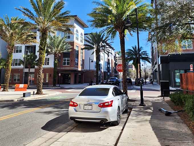 Palm trees frame downtown streets where college-town energy keeps the community young at heart and wallet-friendly.