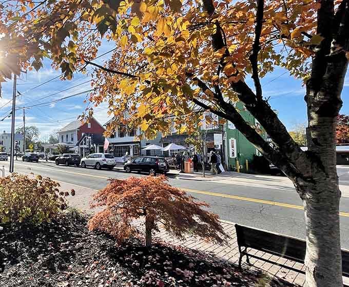 Golden autumn leaves frame a Main Street where every storefront whispers tales older than your grandparents' grandparents combined.