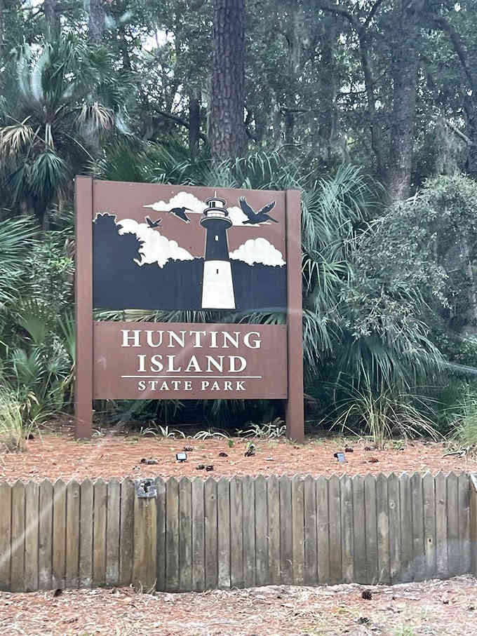The welcome sign promises lighthouse views and maritime forests where alligators sunbathe and shorebirds call this barrier island paradise home.