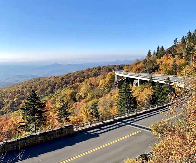 The viaduct curves gracefully through fall foliage, proving that engineering and beauty can absolutely be best friends.