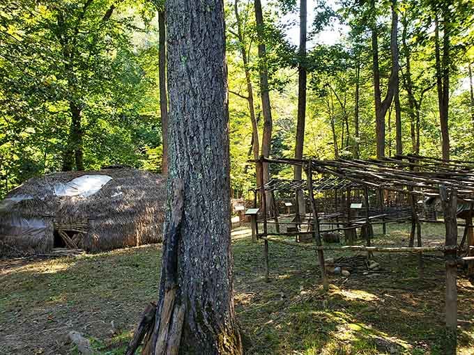 Rustic shelters nestle among towering trees, showing how Native Americans lived in harmony with the land centuries before us.