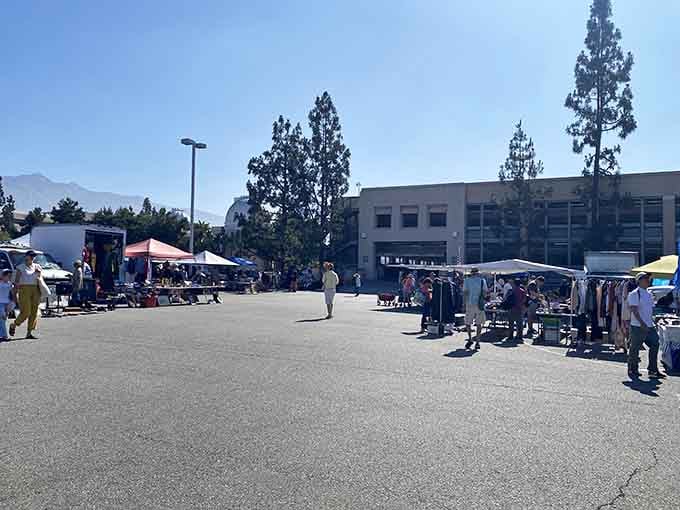 Campus trees provide natural shade while vendors display their wares across this educational institution's welcoming weekend transformation.