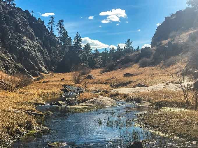 The peaceful stream meanders through golden grasses, its crystal waters reflecting blue skies in this secret mountain paradise spot.
