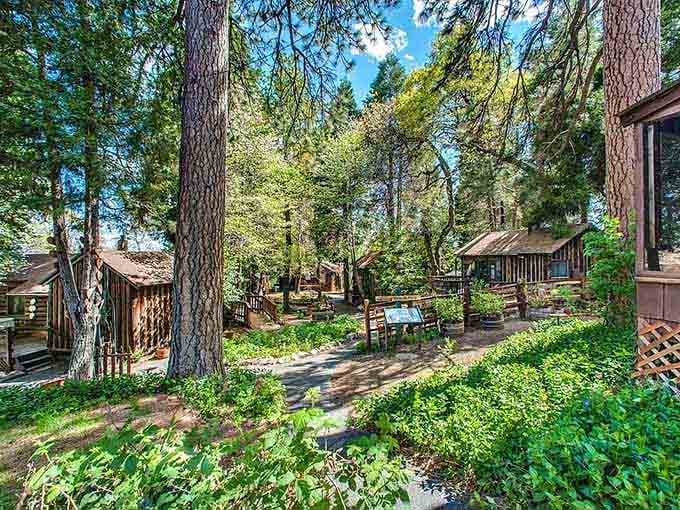 Winding roads lead to this hillside hamlet where casual dining spots serve up comfort food with spectacular scenery included.