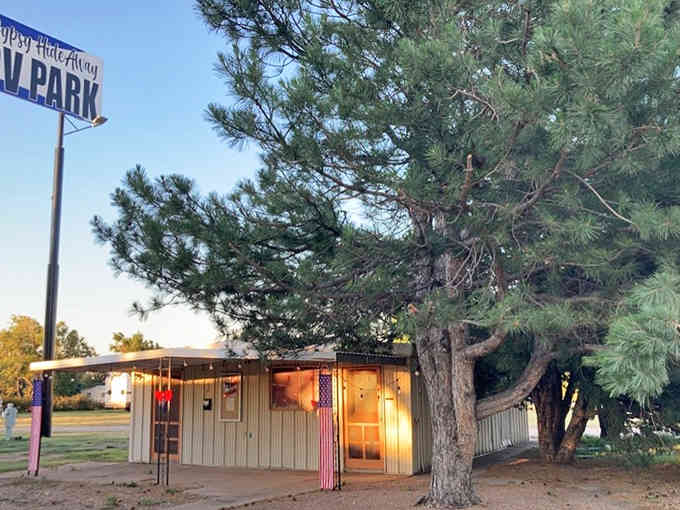 That vintage RV park sign and towering pine tree mark a spot where road-weary travelers find shade and simple comforts.