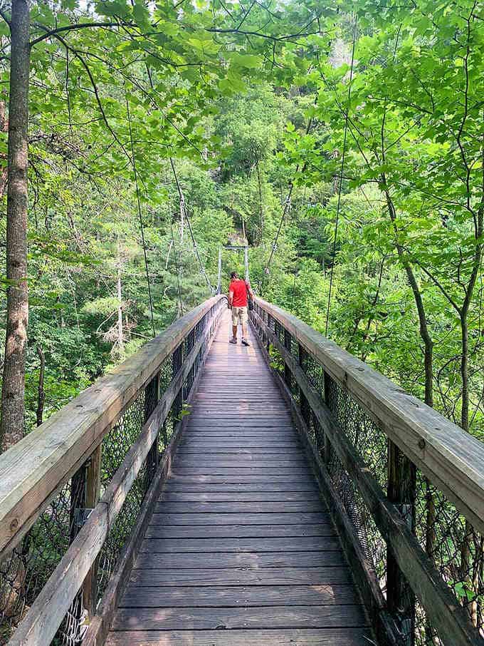 Step into the canopy on this suspension bridge. It&rsquo;s a leafy green labyrinth that feels like a real-life adventure.