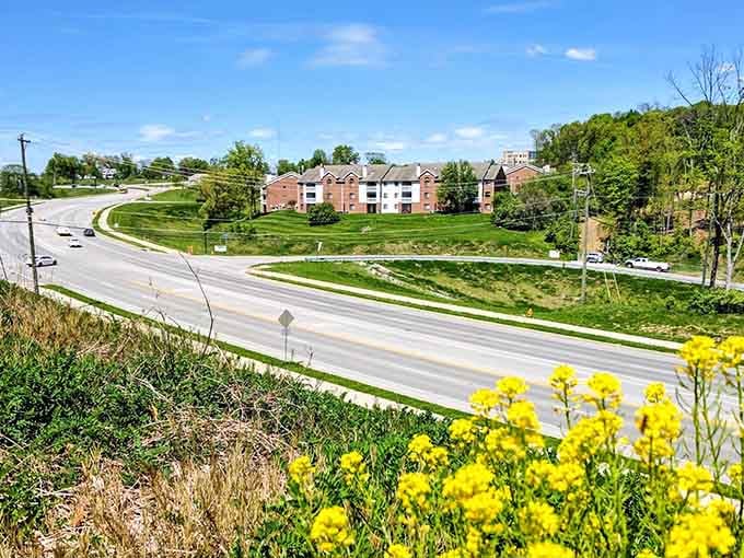 Springtime wildflowers frame rolling hills where suburban life blooms as naturally as those cheerful yellow blossoms along the roadside.