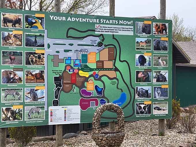 Your adventure starts here, where Illinois countryside meets wildlife from practically every continent except Antarctica.