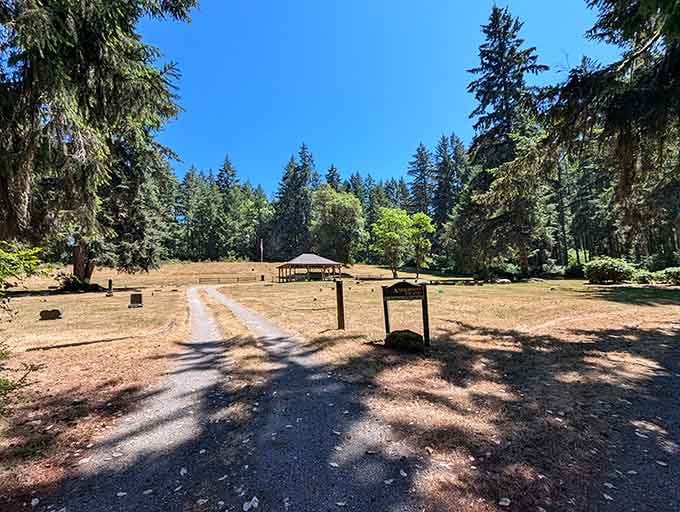 Anderson Island Cemetery sits peacefully among the trees, a quiet reminder that some choose to stay here forever.