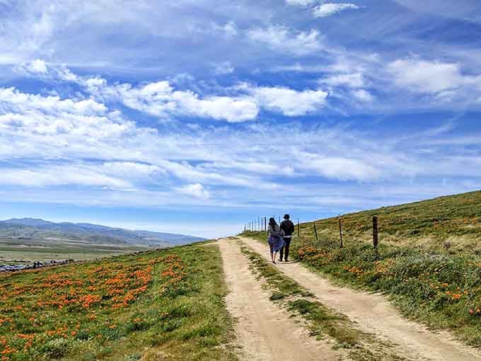 Walking these paths feels like stepping into a painting where the artist really loved their warm color palette.